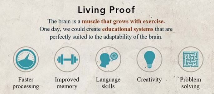 What is Neuroplasticity & How Does It Impact Education? (Infographic)