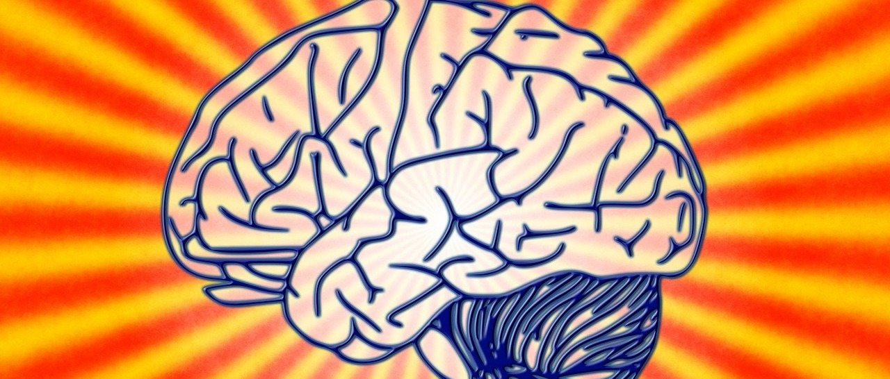 Sarah 2.0: Recovering from Chronic Brain Inflammation