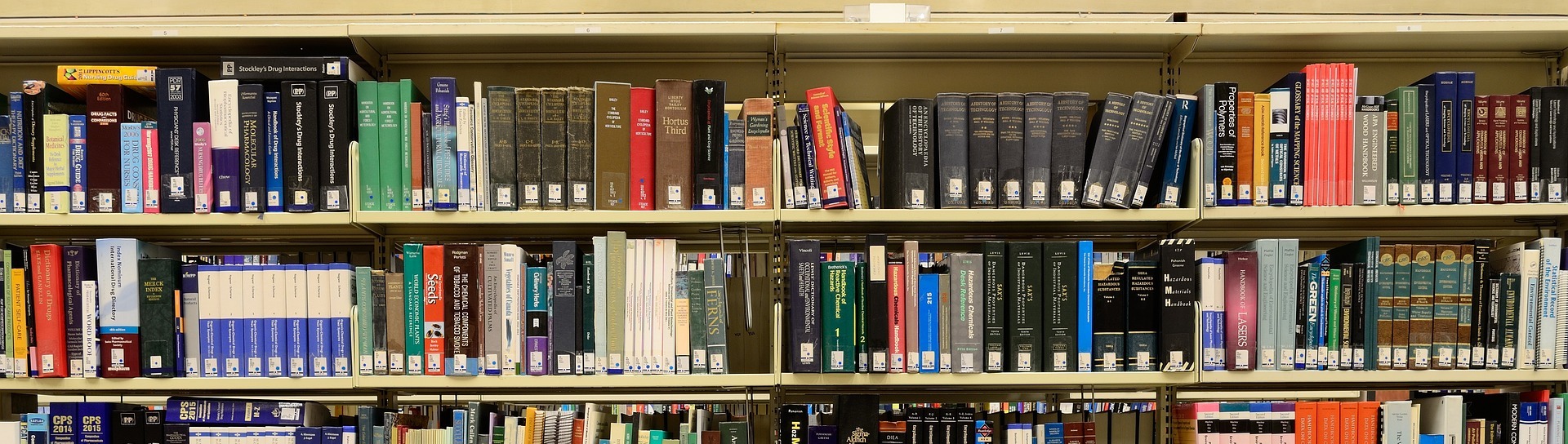 Anne Donnell: Gallipoli Nurse’s Story on New Guided-Reading Technology