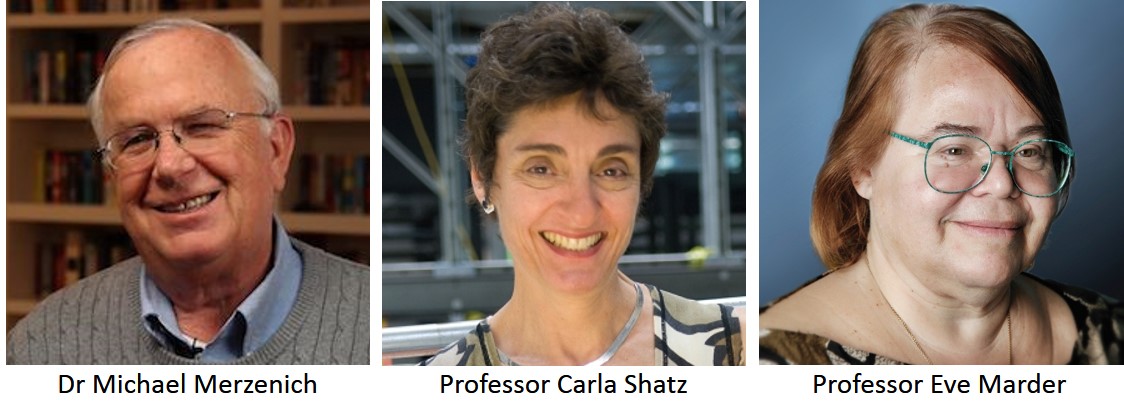 3 Famous Neuroscientists: How Brain Plasticity Helps Human Potential